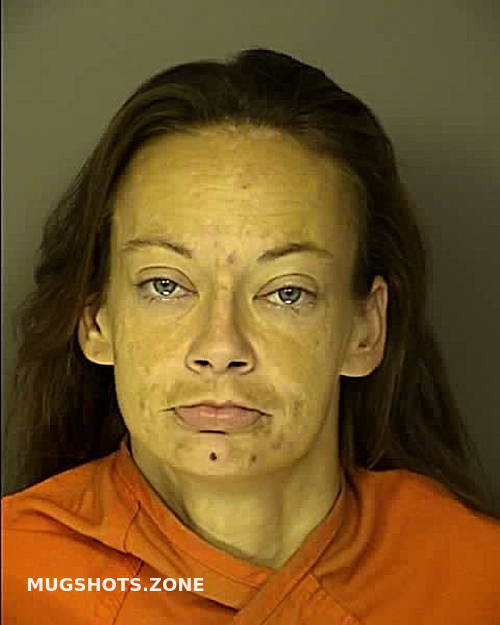 COMBS AMBER ELIZABETH 09/20/2024 - Horry County Mugshots Zone