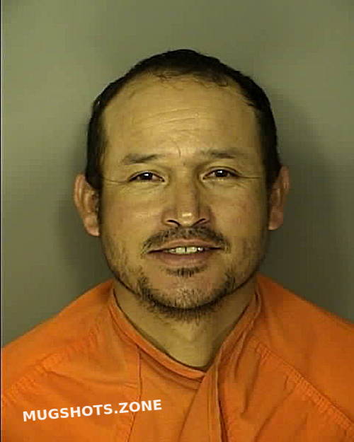 ANTUNEZ-AMAYA RONY RAMON 09/28/2024 - Horry County Mugshots Zone
