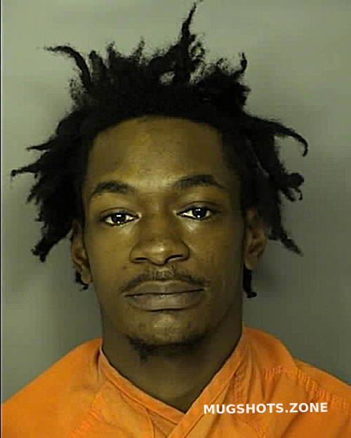 PALMER NIGEL MALIK 10/19/2024 - Horry County Mugshots Zone