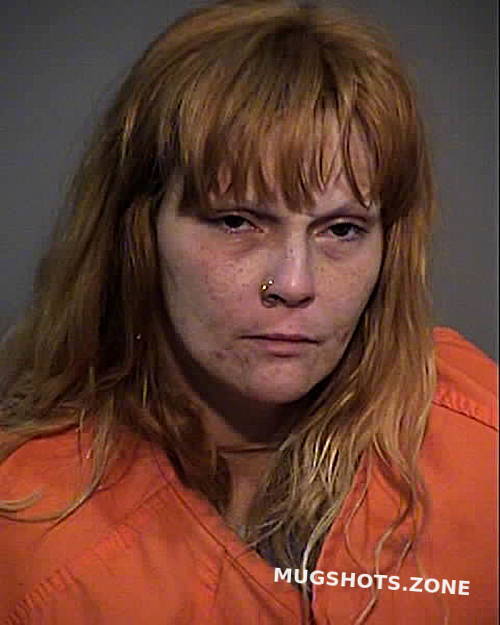 SHAFER AMBER LYNN 10/19/2024 - Horry County Mugshots Zone