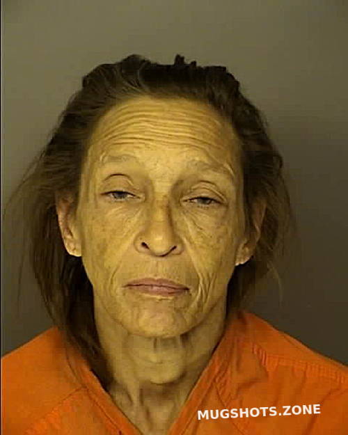 ELSTON AMY JEAN 10/23/2024 - Horry County Mugshots Zone