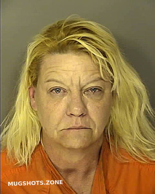 BENSON JACKIE PAULINE 10/24/2024 - Horry County Mugshots Zone