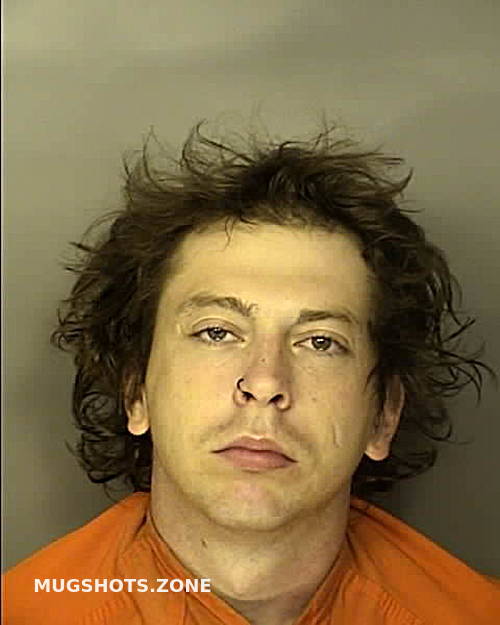 WAGONER MICHAEL DYLAN 10/26/2024 - Horry County Mugshots Zone