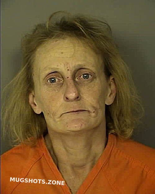 MACE DONNA GAIL 10/29/2024 - Horry County Mugshots Zone