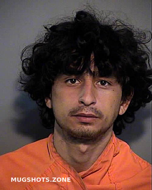 LYNCH JORDAN ZANE 11/03/2024 - Horry County Mugshots Zone