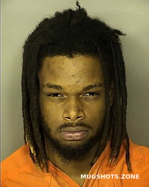 JOHNSON DAVION AMIR 11/03/2024 - Horry County Mugshots Zone