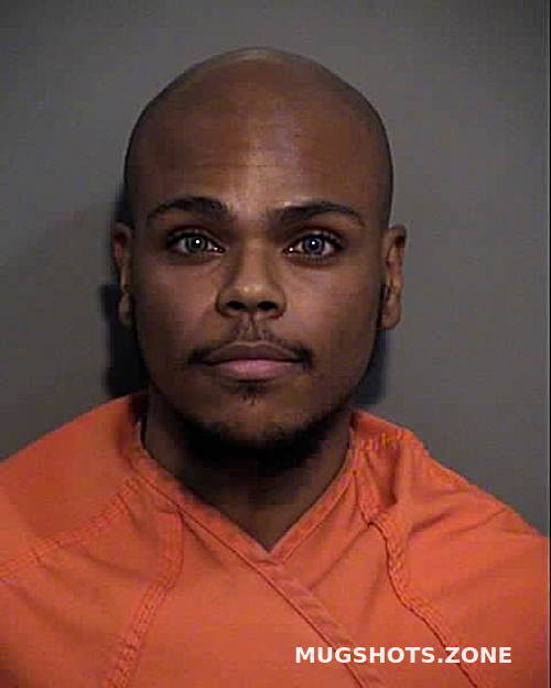 TAGOE WAYNE 11/03/2024 - Horry County Mugshots Zone