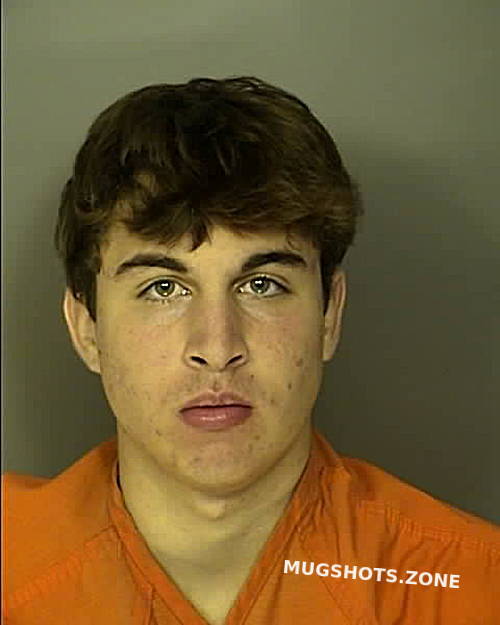 LEONARD DEVIN MICHAEL 11/03/2024 - Horry County Mugshots Zone