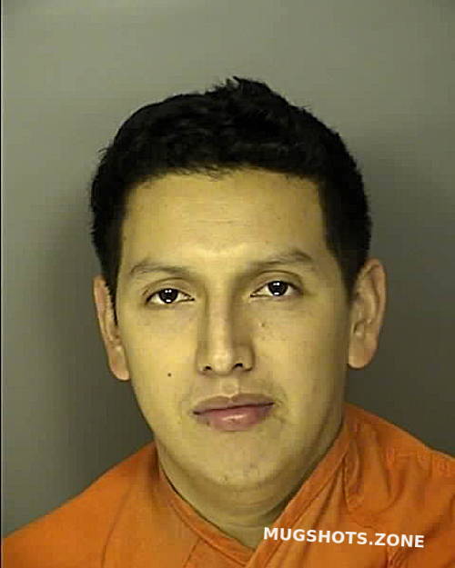 GONZALEZ-LOPEZ EDVIN NEHEMIAS 11/06/2024 - Horry County Mugshots Zone
