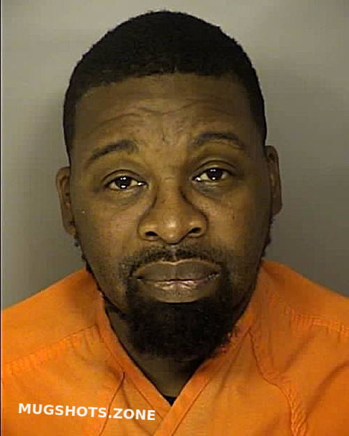 GRIER SHAWNTAE DUQUETTE 11/07/2024 - Horry County Mugshots Zone