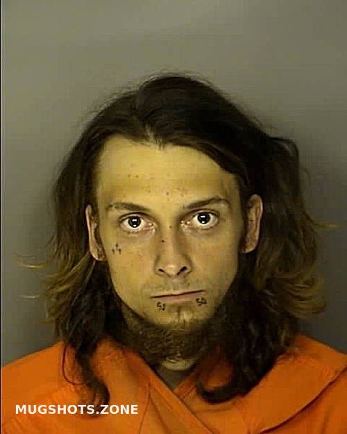 BRADY JARRED WESLEY 11/08/2024 - Horry County Mugshots Zone