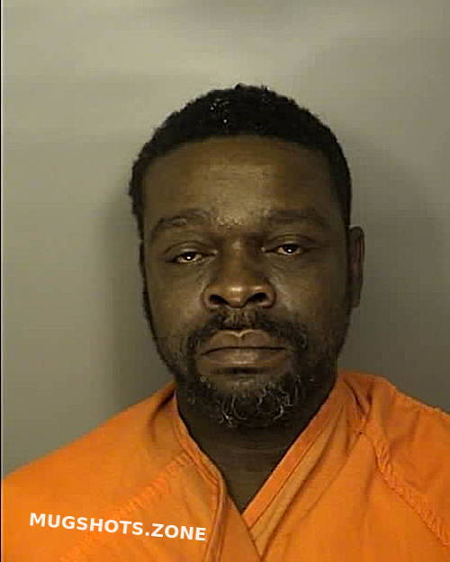 WILSON MARCO 11/08/2024 - Horry County Mugshots Zone