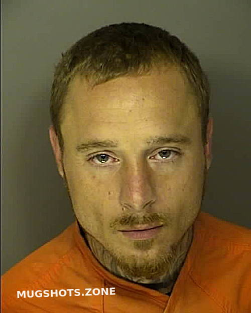 MAYO JAMES DINK 11/09/2024 - Horry County Mugshots Zone
