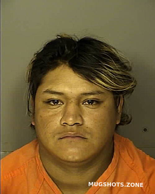 PEREZ SALVADOR 11/09/2024 - Horry County Mugshots Zone