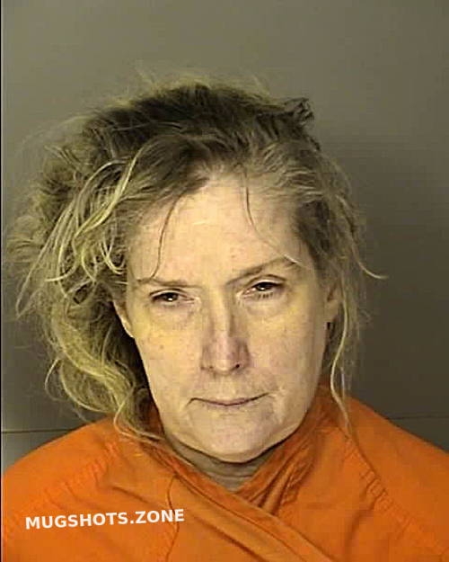 TOMKO TRACY LEE GORDON 11/09/2024 - Horry County Mugshots Zone