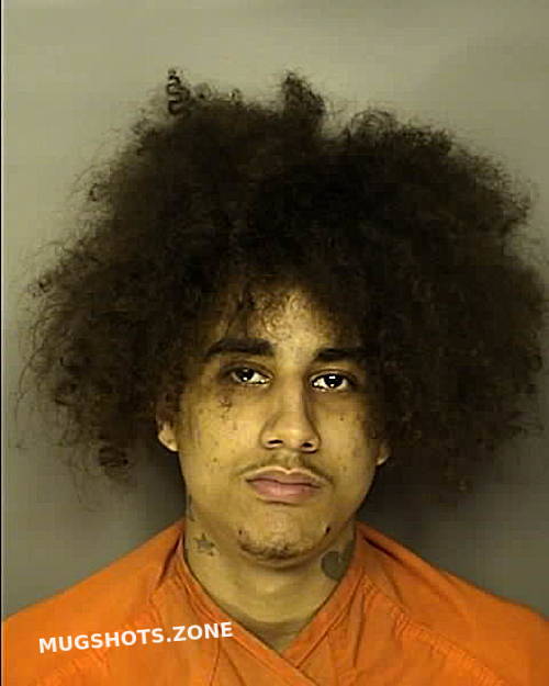 GREEN JORDAN ANTRON 11/10/2024 - Horry County Mugshots Zone