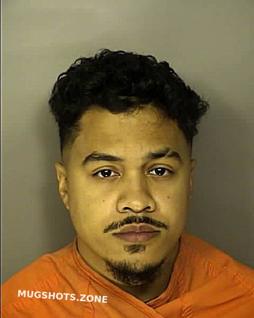HALL ROBERT CHRISTOPHER 11/10/2024 - Horry County Mugshots Zone