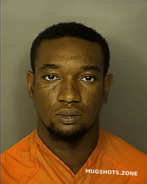 WILSON FRANKLIN MIKKEL 11/10/2024 - Horry County Mugshots Zone