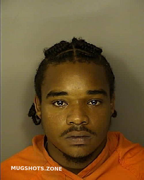 VEREEN FRANK SAMANTA 11/11/2024 - Horry County Mugshots Zone
