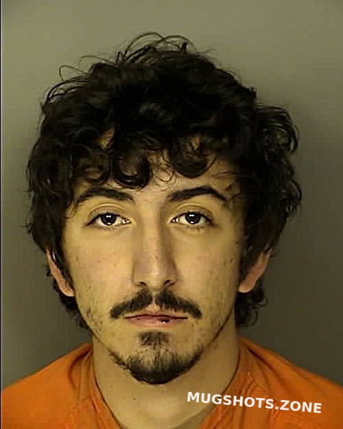 DELIA MICHAEL LUCIANO 11/12/2024 - Horry County Mugshots Zone