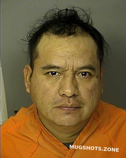 RAMOS-RAMIREZ PEDRO LUIS 11/17/2024 - Horry County Mugshots Zone