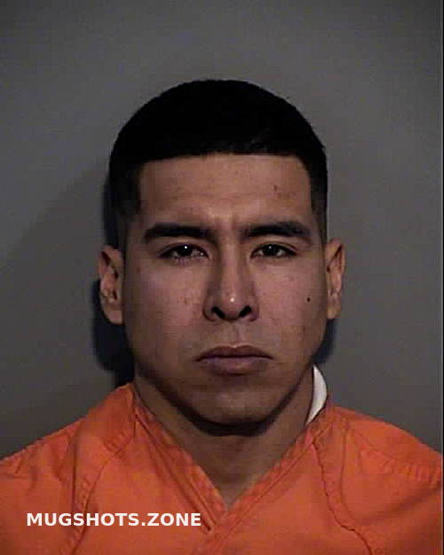 HERNANDEZ RAMIREZ JOSE ALEJANDRO 11/17/2024 - Horry County Mugshots Zone