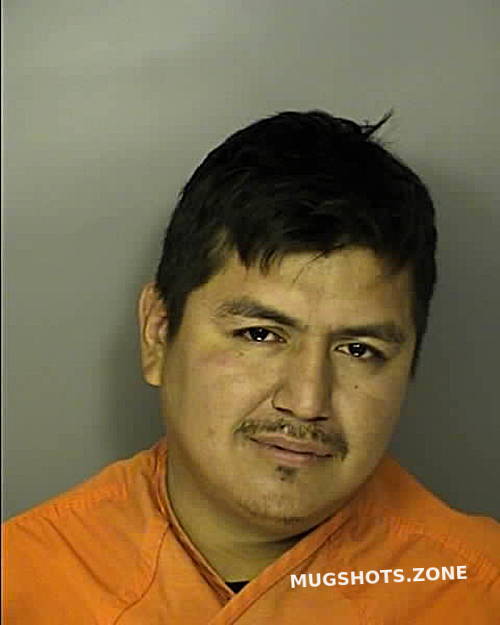 PELAEZ-MENDOZA IVAN ELIUT 11/17/2024 - Horry County Mugshots Zone