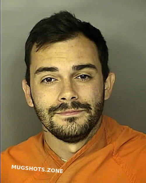 YOUNG MATTHEW DILLON 11/21/2024 - Horry County Mugshots Zone