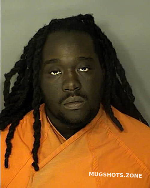 DAVIS JAMES EARL 11/22/2024 - Horry County Mugshots Zone