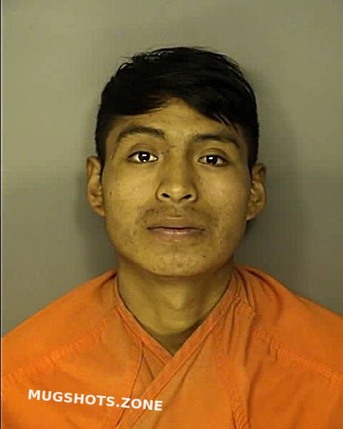 GOMEZ- COLLAZO JOSE 11/23/2024 - Horry County Mugshots Zone