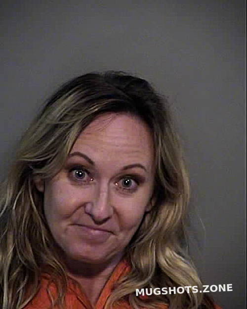 WIGGINS ASHLEY RENFRO 11/23/2024 - Horry County Mugshots Zone