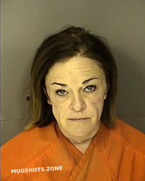LOW SHARON AILEEN 11/24/2024 - Horry County Mugshots Zone