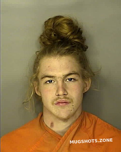 HINSON HUNTER LEE 11/25/2024 - Horry County Mugshots Zone