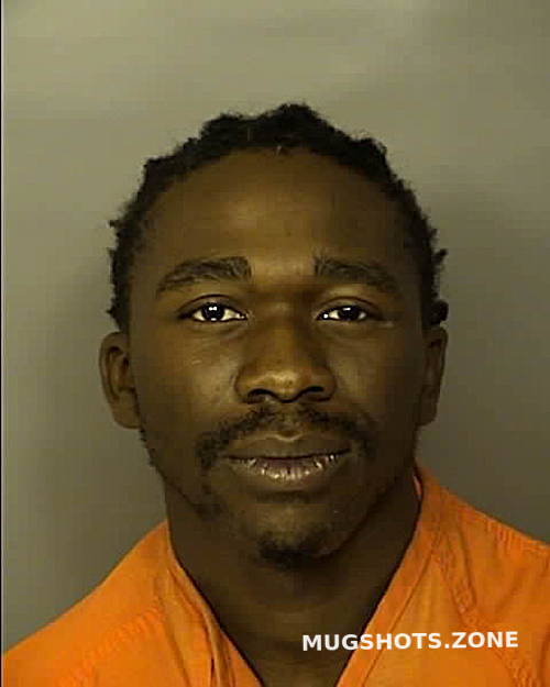 SPAIN GEORGE DEANDRE 12/07/2024 - Horry County Mugshots Zone