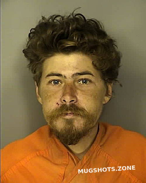 WHITEIS MICHAEL DENNEY 12/07/2024 - Horry County Mugshots Zone