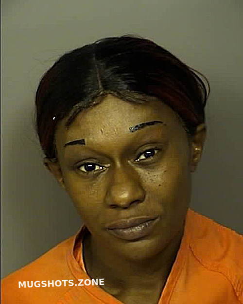 JOHNSON MESHELLE JANIEL 12/07/2024 - Horry County Mugshots Zone