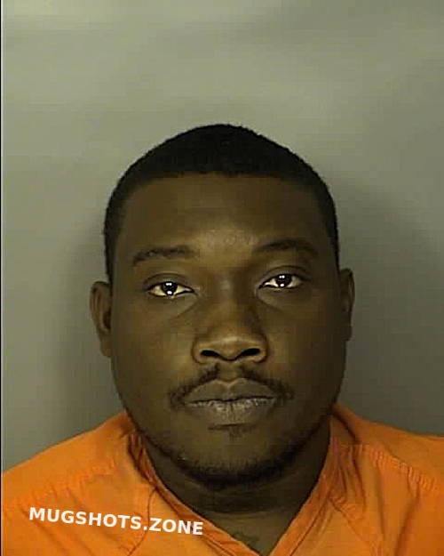 FLADGER DANIEL ROSS 12/11/2024 - Horry County Mugshots Zone