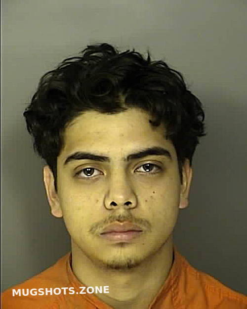 ULLOA CHRISTOPHER JAVIER 12/12/2024 - Horry County Mugshots Zone