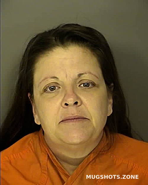 CAPE STACY LYNN 12/14/2024 - Horry County Mugshots Zone