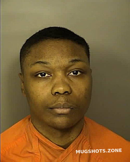 BEY ROME ALI 12/17/2024 - Horry County Mugshots Zone