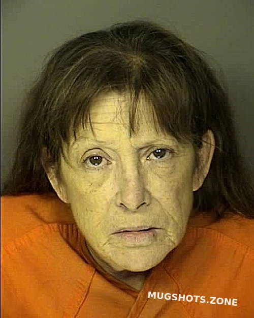 TINGLOF KAREN GEAN 12/28/2024 - Horry County Mugshots Zone