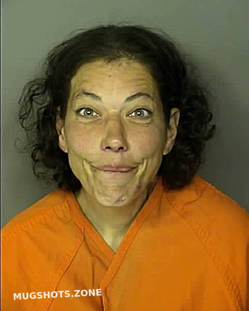 CLARK REBECCA GAIL 12/30/2024 - Horry County Mugshots Zone