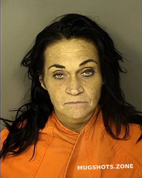 PRICE ALISON BETH 01/03/2025 - Horry County Mugshots Zone
