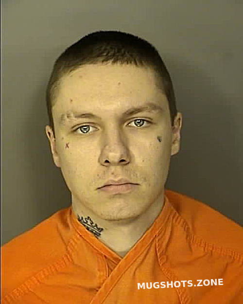 WEBSTER CHRISTIAN ALEXANDER 01/03/2025 - Horry County Mugshots Zone