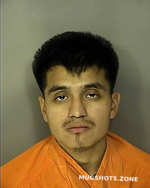 ESQUIVEL EVER JOSUE 01/04/2025 - Horry County Mugshots Zone
