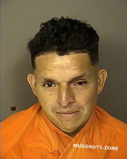 SERRANO RAMOS OSCAR MAURICIO 01/05/2025 - Horry County Mugshots Zone