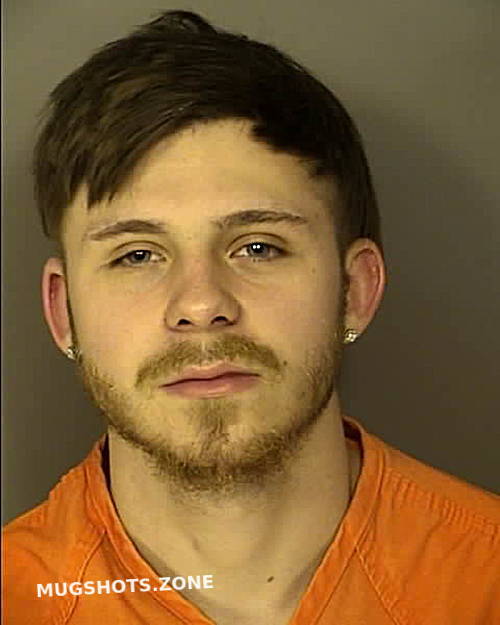 DAVIS HALEY DONALD 01/10/2025 - Horry County Mugshots Zone