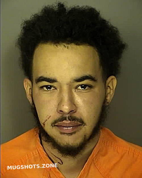 ALLISON TEVON ANDRE 01/11/2025 - Horry County Mugshots Zone