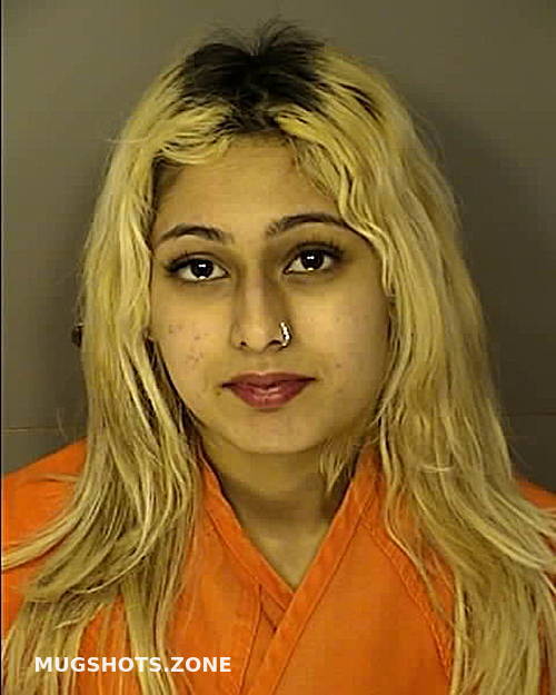 KUSHWAHA LAYLA RIZWAN 01/12/2025 - Horry County Mugshots Zone