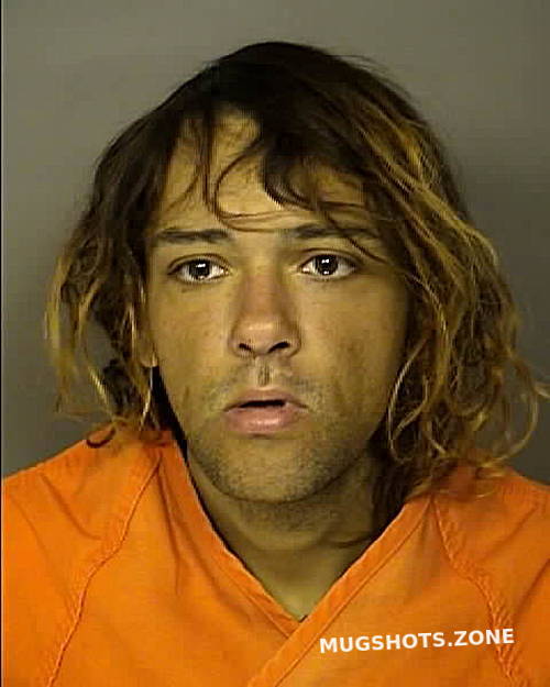 HARRIS DYLAN FRANK 01/21/2025 - Horry County Mugshots Zone